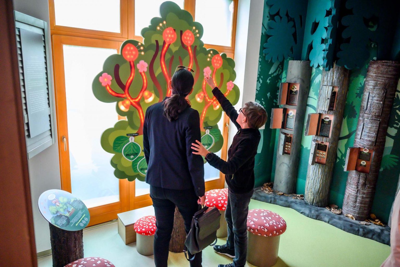 Mecsek Discovery Center – Mecsekerdő Zrt.